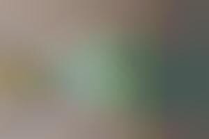 Aquatic Expressionist Street Art : Boo Coup Fish Art