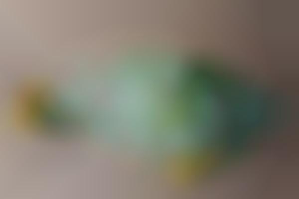 Aquatic Expressionist Street Art : Boo Coup Fish Art