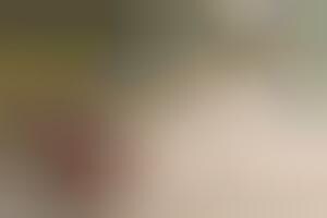 Nature-Masquerading Campaigns : Off Insect Repellent Ads