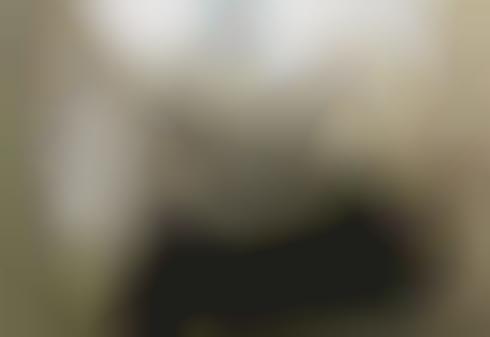 47 Adorable Panda Products