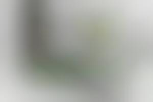 Distorted Hourglass Stemware : Vortex Liqeur Glass Set