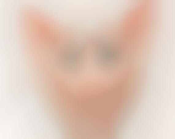 71 Examples of Bizarre Masks