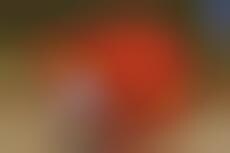 Durable Disaster Capsules : Tsunami Survival Pod