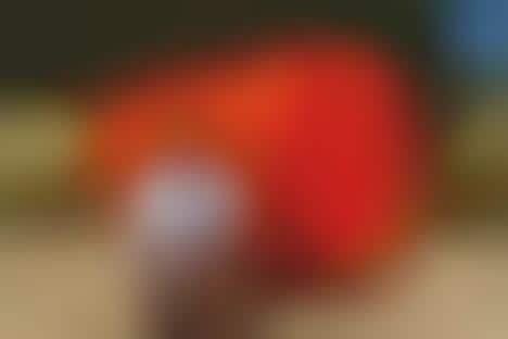 Durable Disaster Capsules : Tsunami Survival Pod