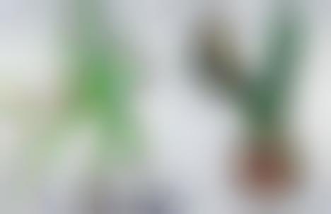 Exceptional Stiletto Displays : Cool Hand Luke