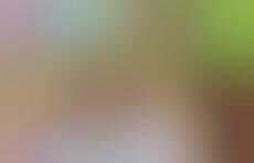 Cozy Companion Coffee Shops : cuddle cafe