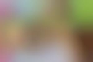 Cozy Companion Coffee Shops : cuddle cafe