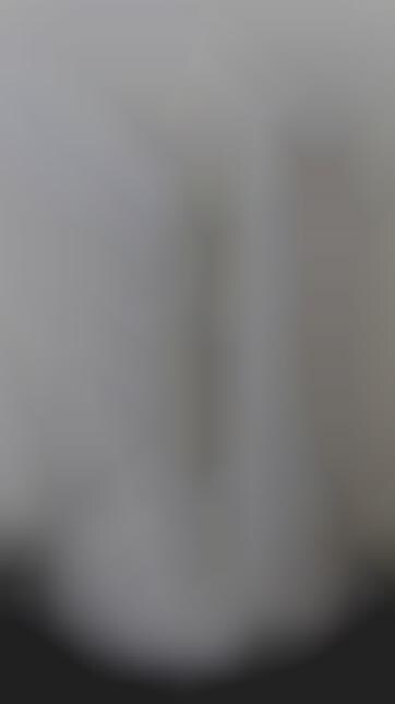 70 Examples of Domed Design