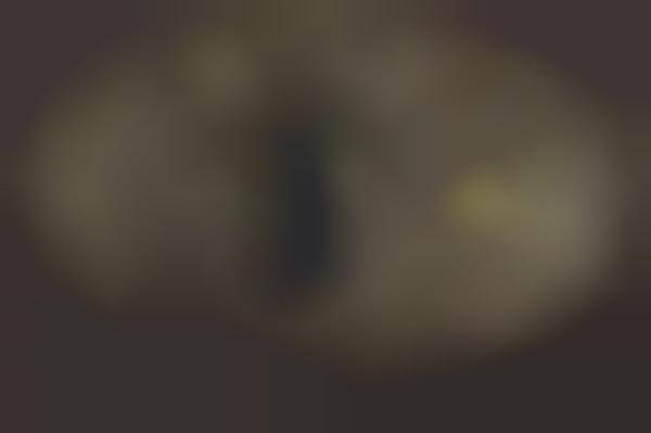 Current Country Bumpkin Ensembles : Town Mouse and the Country Mouse