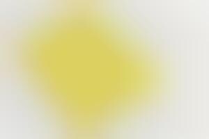 Polarized Opinion Publications : James Aviaz Magazine