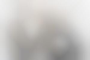 Slender Sinuous Cycles : andy martin thonet bike