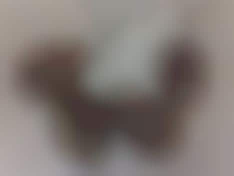 Gruesome Undead Adornments : Zombie Ear Necklace