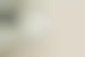 Cubic Tooth Clinics : The Dental Bliss by Integrated Field Co.