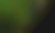 Spindly Arboreal Escritoires : Tree Branch Work Desk