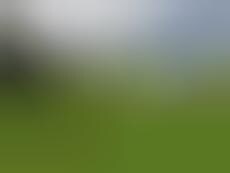 Undulating Lawn Abodes : Auto Family Home