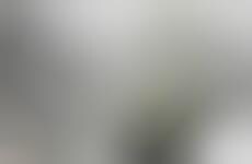 Exploding Ink Security Tags : ink security tag