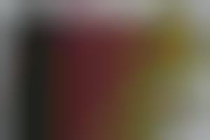 Weapons in Disguise: Lipstick Stun Gun