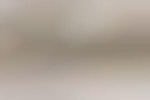 Adjustable & Collapsible Bed: The Delta Bed