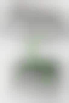 Living Furniture: Bushy Bench by 5.5 Designers