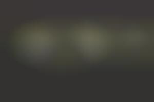 Guerrilla Mirror Phones: Rogers Video Phone Ads