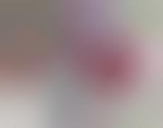 Fish-Inspired Fashion: Siamese Fighting Fish Dresses at Rodarte