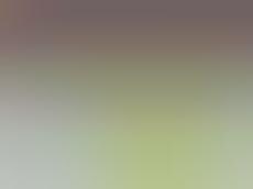 Disposable Watches: Adhesive Timeflex