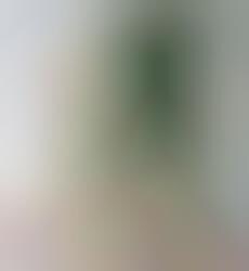 Unwearable Clothing: Paper Dresses by Violise Lunn