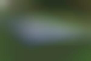 Inflatable Solar Panels: SolarStore Helps Heat Your Water