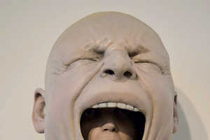 Fleshy Human Displays : Samuel Salcedo Sculptures