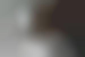 Roof-Retracting Mattresses : Up Down Bed