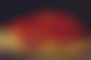 Veined Anatomical Desserts : Human head cake