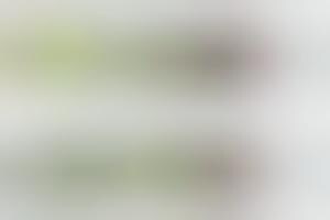 Ghoulish Undead Trinkets : Zombie Finger Keychain