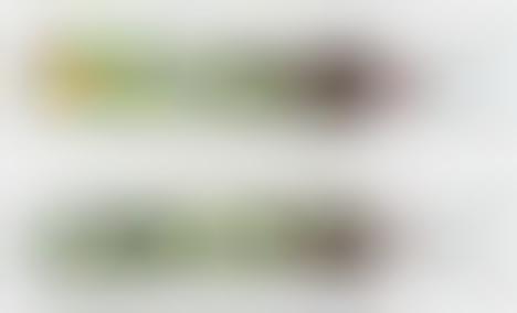 Ghoulish Undead Trinkets : Zombie Finger Keychain