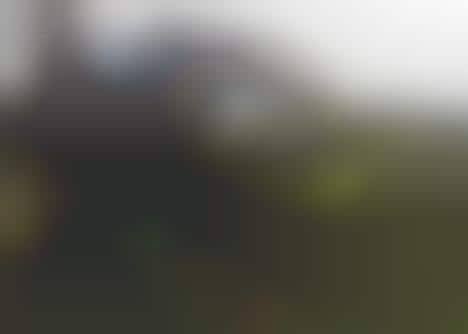 Camouflaging Moss Offices : Regional Chamber Building by Chartier ...