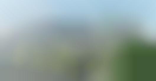 90 Modern Library Finishes