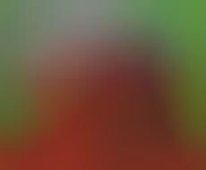 Explosive Doll Heads (UPDATE) : Artist Alan Sailer