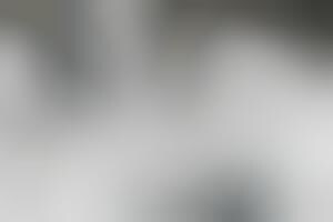 Sew-Free Button Replacers : Button Stapler