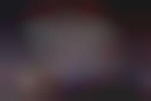 Customized Political Infographs : Targeting the Electorate Website