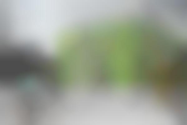 Algae-Powered Building : BIQ house