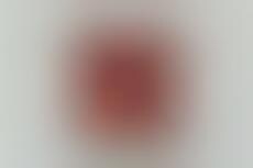 Intricately Assembled Cuisine : Geometric Food Art