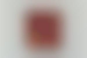 Intricately Assembled Cuisine : Geometric Food Art