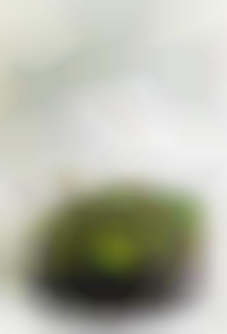 Pint Sized Undead Container : Zombie Apocalypse Terrarium