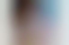 Plush Gadget Cleaners : Koala Screen Wipe