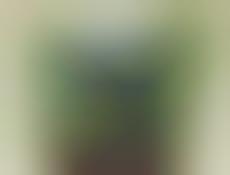 Haunted Wilderness Abode Costumes : Evil Dead Cabin Hat