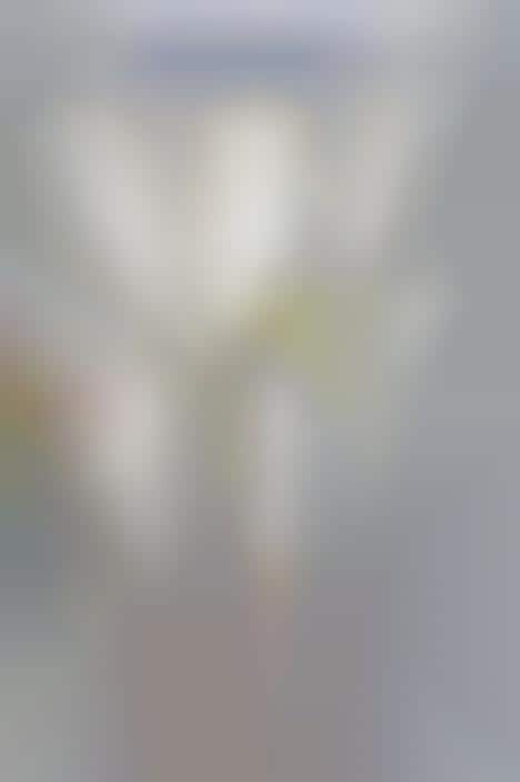 30 Modern Compact Living Spaces