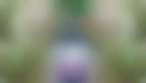 Futuristic Psychedelic Catwalks : The future catwalk