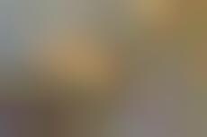 Mafioso-Inspired Burgers : Gangster Burger