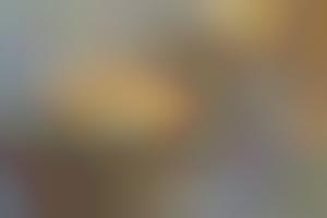 Mafioso-Inspired Burgers : Gangster Burger