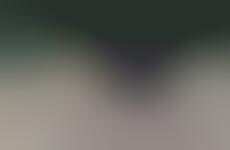 Eco-Friendly Smartphones : adzero bamboo phone