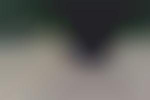 Eco-Friendly Smartphones : adzero bamboo phone